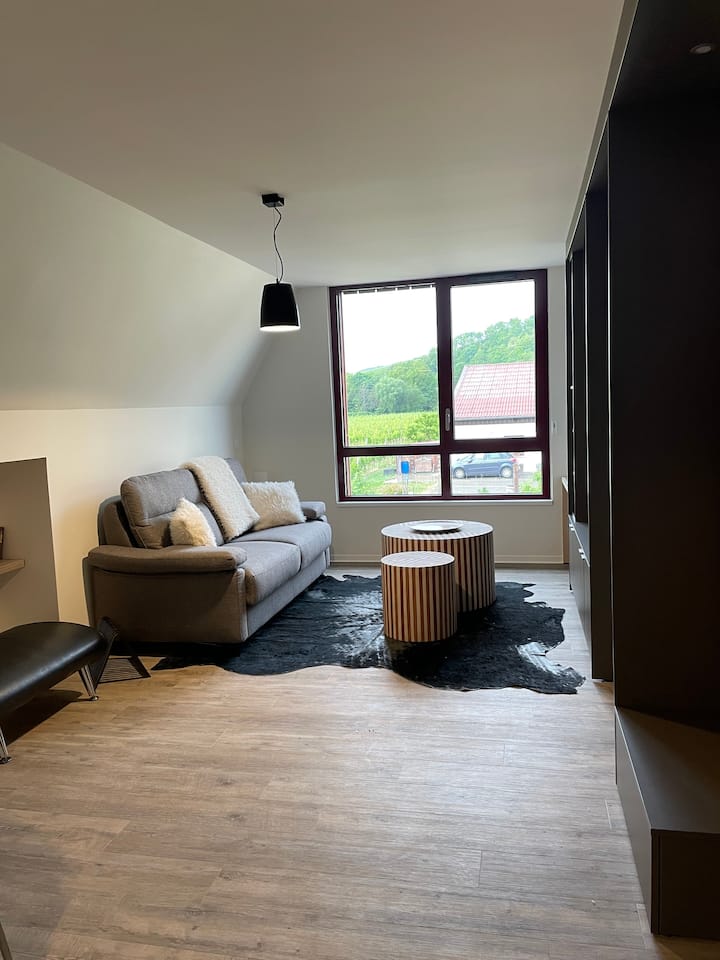 Appartement Schlossberg Au Cœur Des Vignes - Riquewihr