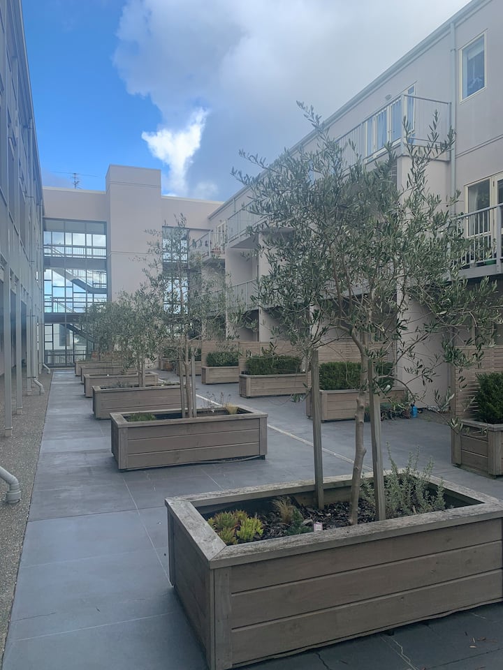 Family Friendly 2 Bed Apartment With Carpark - Wellington