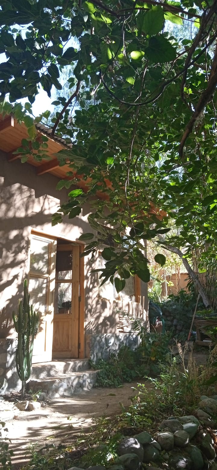 Casa Taller Eco Sustentable Rodeada De Naturaleza. - Paiguano