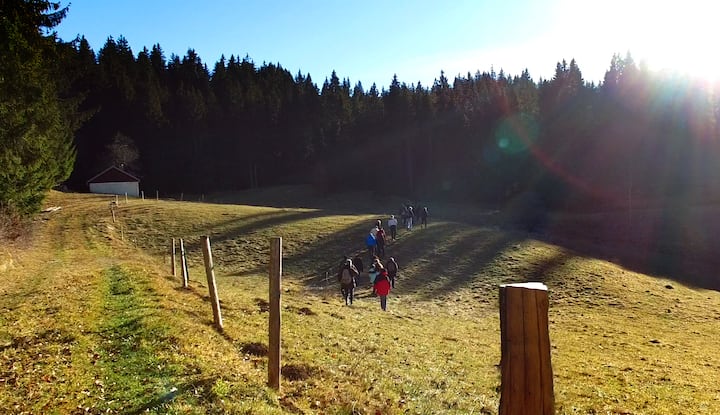 Gîte De 28 Personnes Au Cœur Du Jura. - Bois-d'Amont