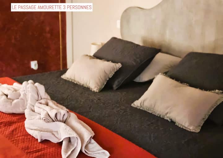 Au Pied De La Cité, 3 Personnes Amourette - Carcassonne