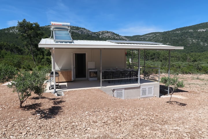 Robinson Hut Among Olive Trees - Korčula