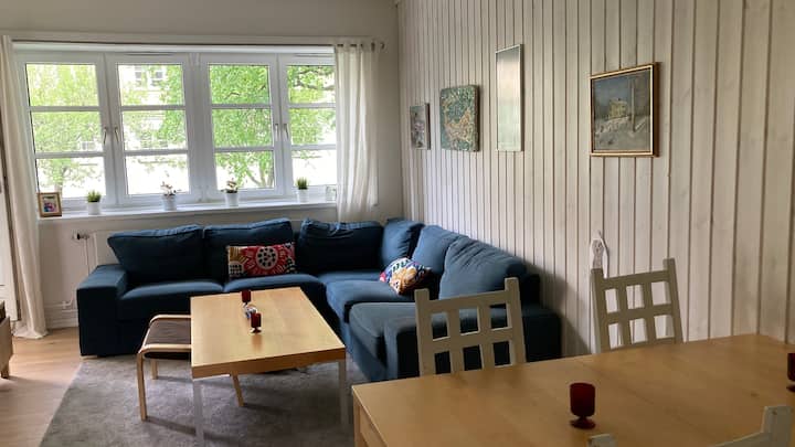 4-rooms Apartment In A Park In Central Oslo - Oslo