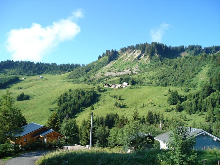 Appartement - 1 éToile- Spacieux - éTé Comme Hiver - Taninges