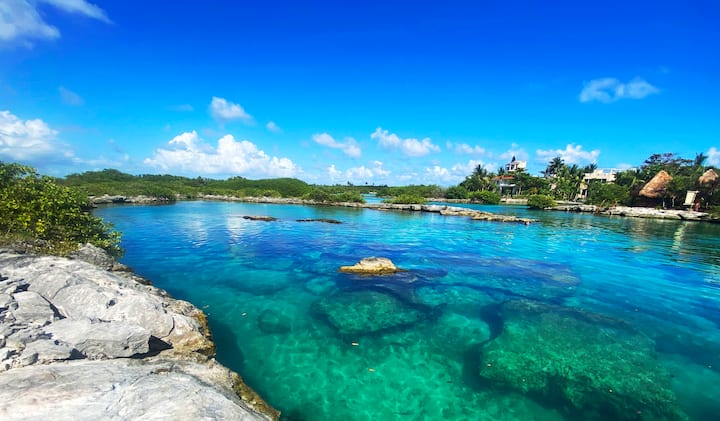 Penthouse Walk To Sea, Cenote & Lagoon 2db2ba 201 - Akumal
