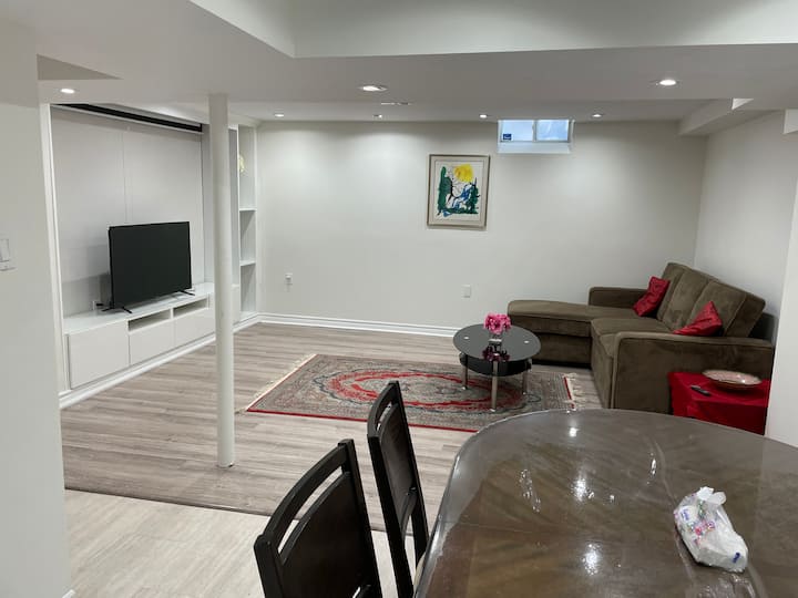 Spacious 1 Bdrm + Den/office Basement Apt - Vaughan