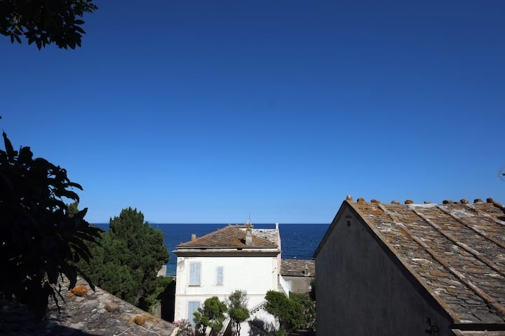 The Flat In Erbalunga - Brando