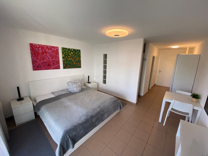 Wohnung + Balkon Nähe Audi/innenstadt/westpark W11 - Ingolstadt