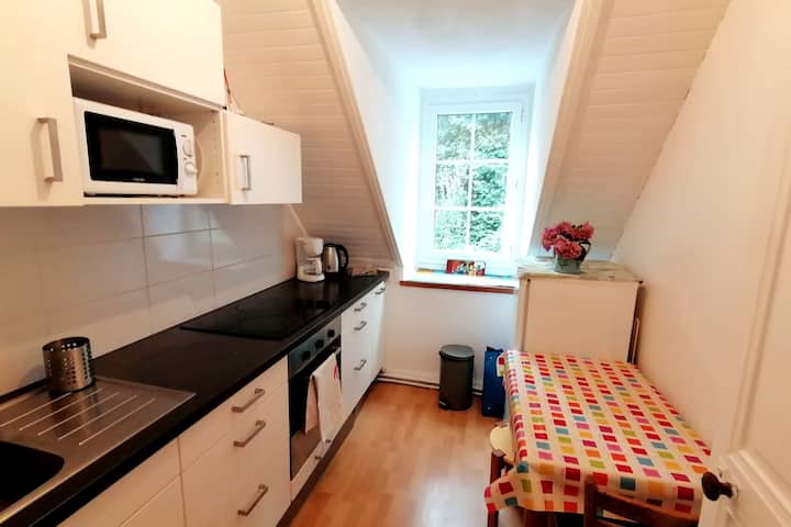 L. Chambre Sur Jardin, Proche Gare Et Centre Ville - Morlaix