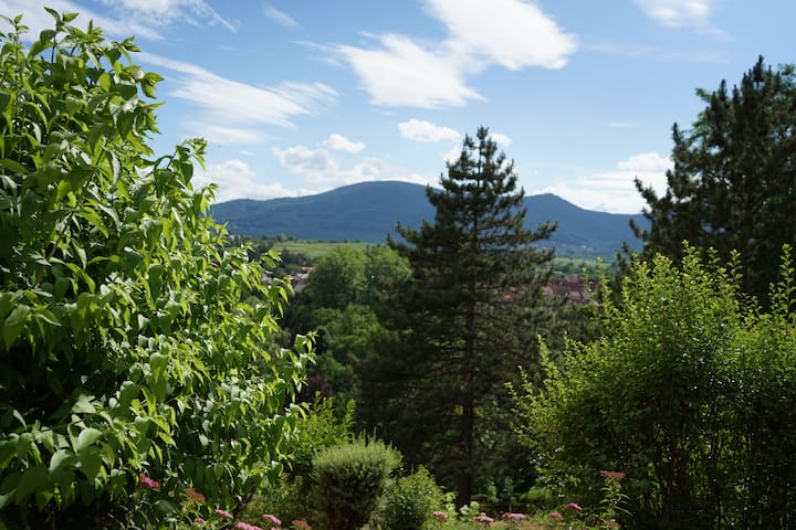 Charmant Studio Avec Vue Sur Le Mont Sainte-odile - Obernai