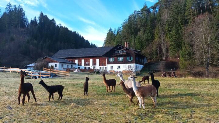 Neu Renovierter Auszeithof - Annaberg