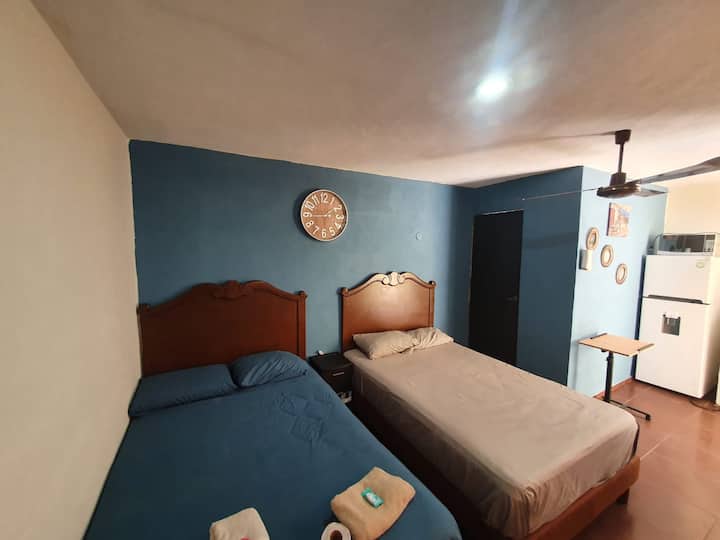 Hermoso Departamento, En La Colonia Centro. - Mérida