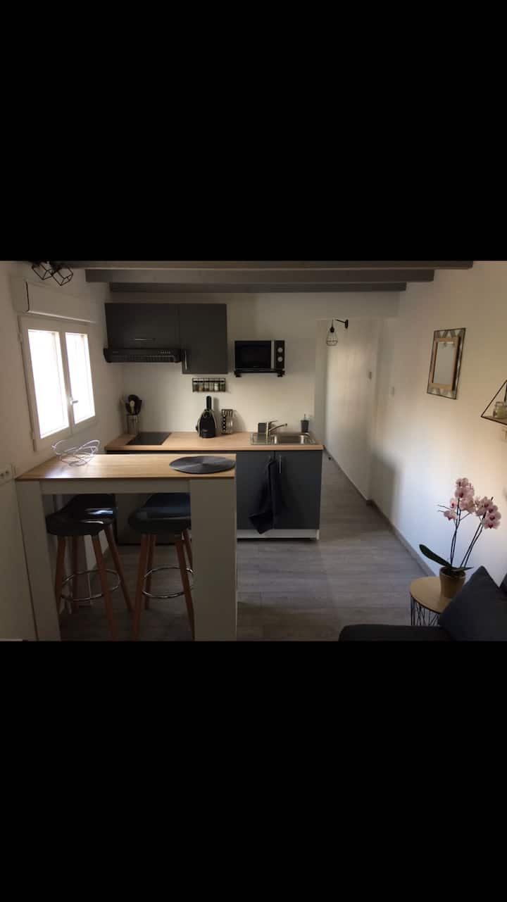 Charmant Appartement  35 M2 Aménagé - Arles