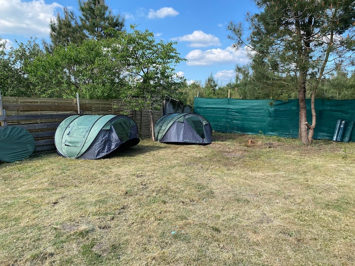 Camping En Bord De Forêt Proche Circuit 24h - Le Mans