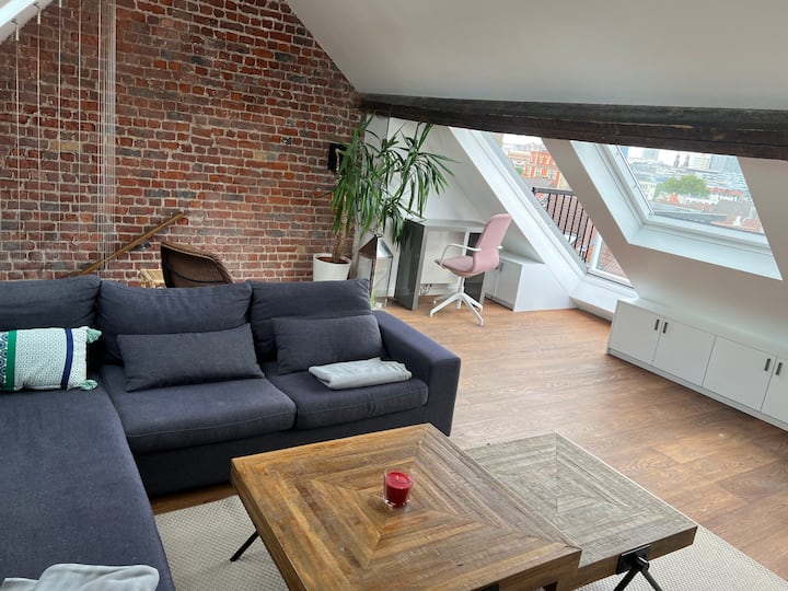 Beautiful Duplex At Eu Quarter *Exceptional View* - Auderghem