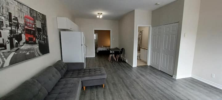 Bel Appartement, Centre-ville De Hull (73-1) - Ottawa