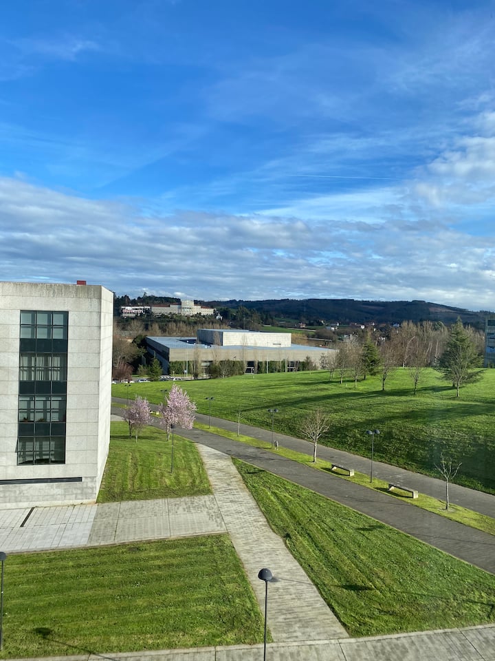 Entrada A Compostela , Sorprende Al Peregrino - Santiago de Compostela