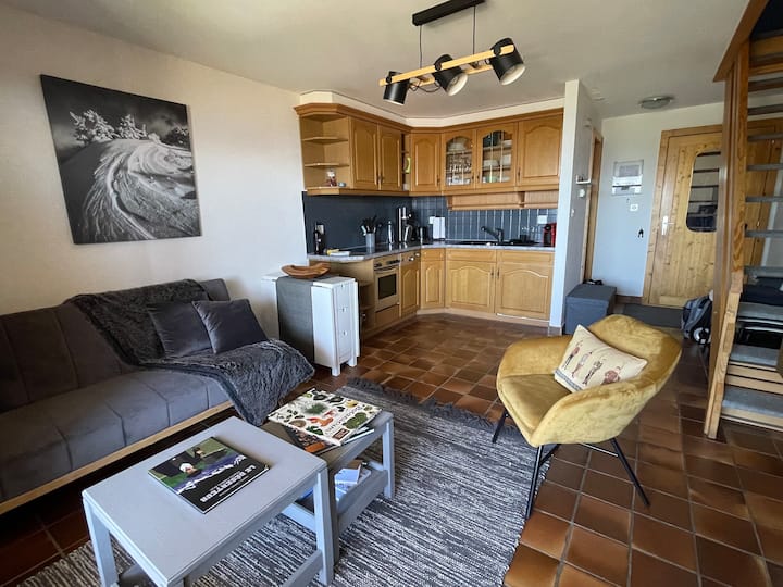 Appartement Avec Vue Imprenable - Nendaz
