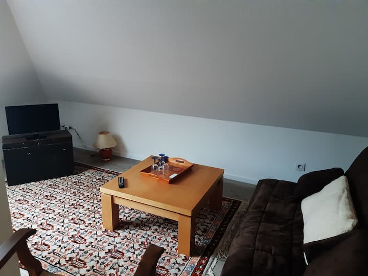 Appartement Très Agréable Et Spacieux - Bischwiller