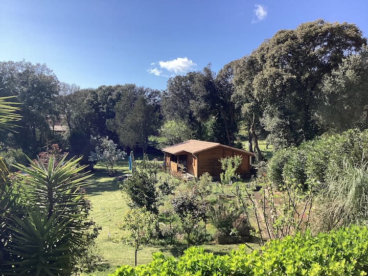 Chalet Bois Neuf T3 Tout Confort - Alata