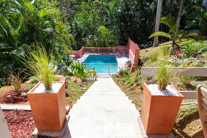 Lush Gardens, Pool, Walk To Beach & Restaurants - Rincón