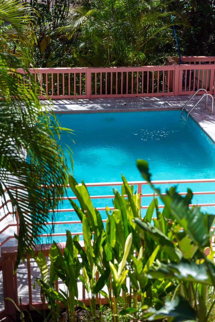 Jungle Unit 2: Tropical POOL, Walk to Beach - Apartments for Rent in ...