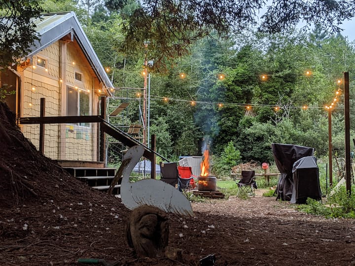 Unwind In This Tiny Cabin Deep In Redwood Country - Crescent City, CA