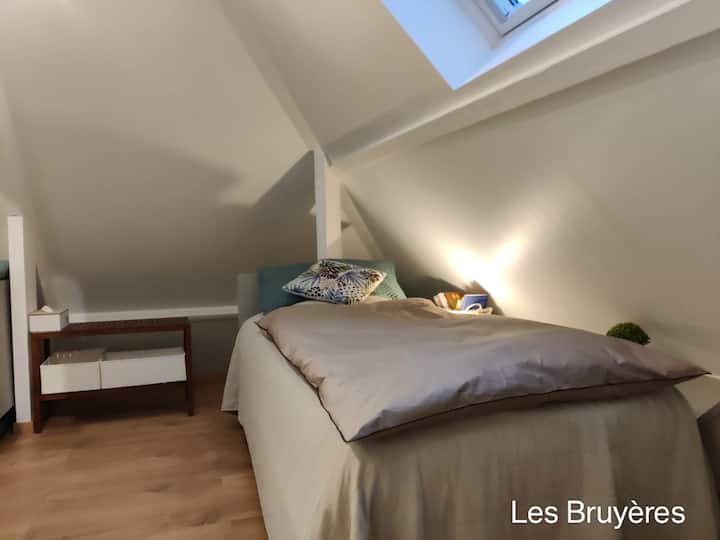 Les Bruyeres
Chambre Lits Jumeaux - 多維爾