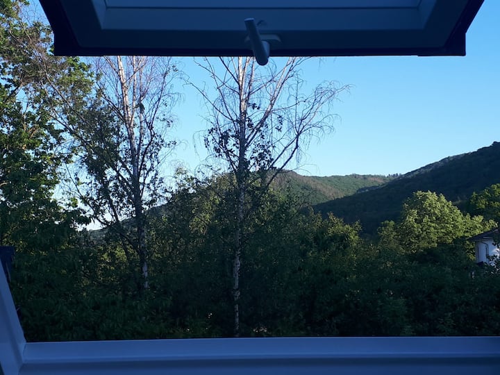 Ferienwohnung Buchenblick - Boppard