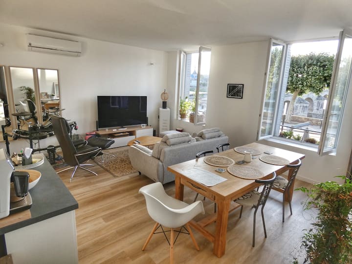 Chambre Idéale ÉTape Loire à Vélo-appart Vue Loire - Blois