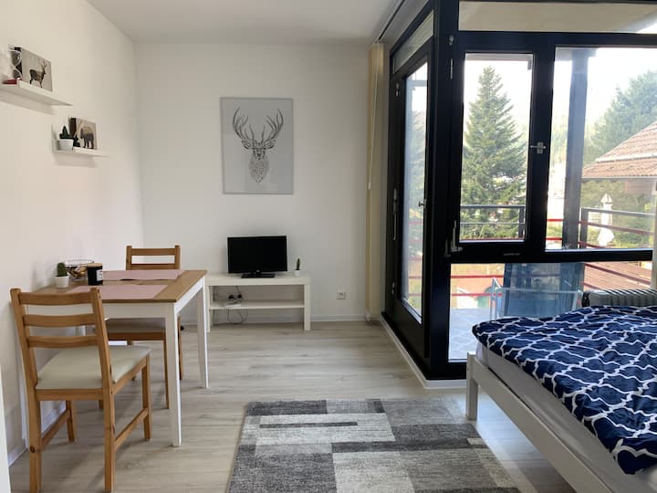 Kleines Einzimmer-apartment - Bad Wildbad