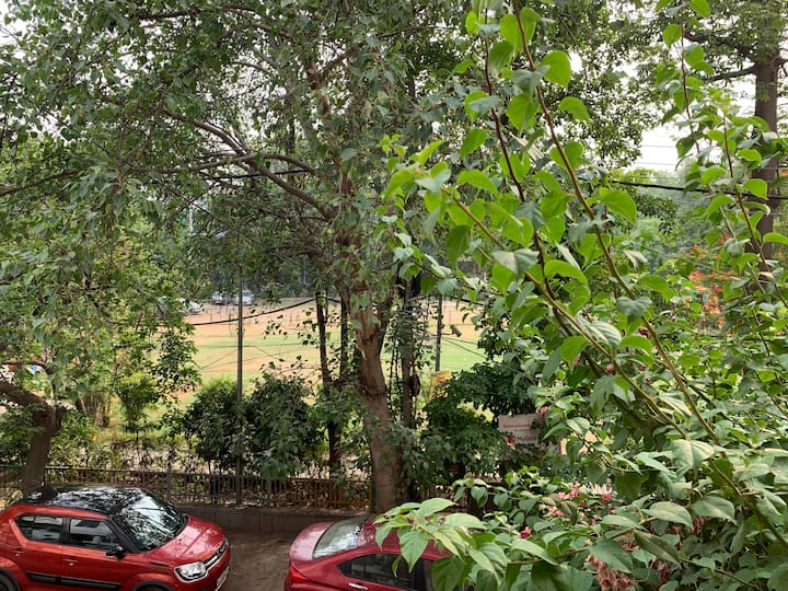 Lovely 2br Apt With Balcony, Steps From Nehru Pl - New Delhi