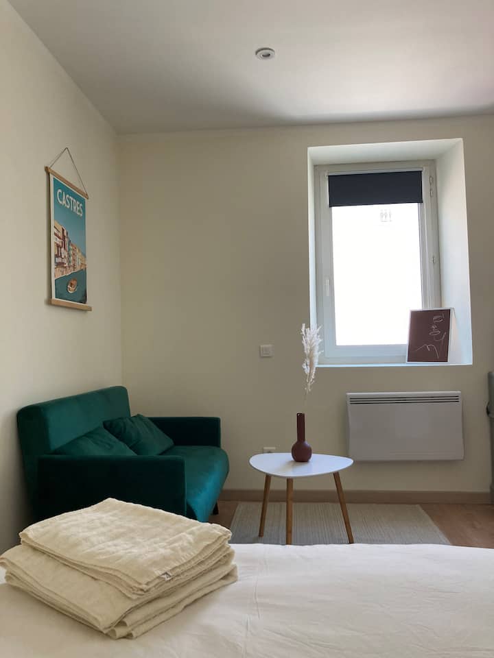 Studio - Hyper Centre - Rez-de-chaussée - Castres