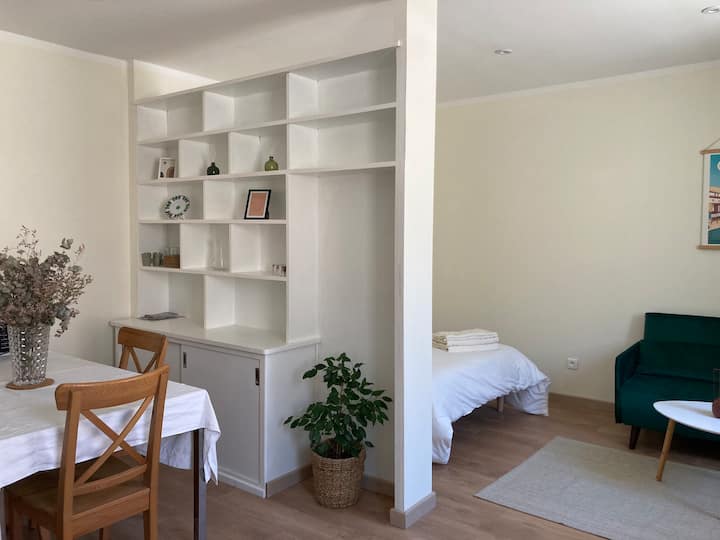 Studio - Hyper Centre - Rez-de-chaussée - Castres