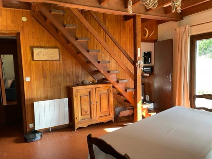 Chalet De Charme En Haute Savoie - Lugrin