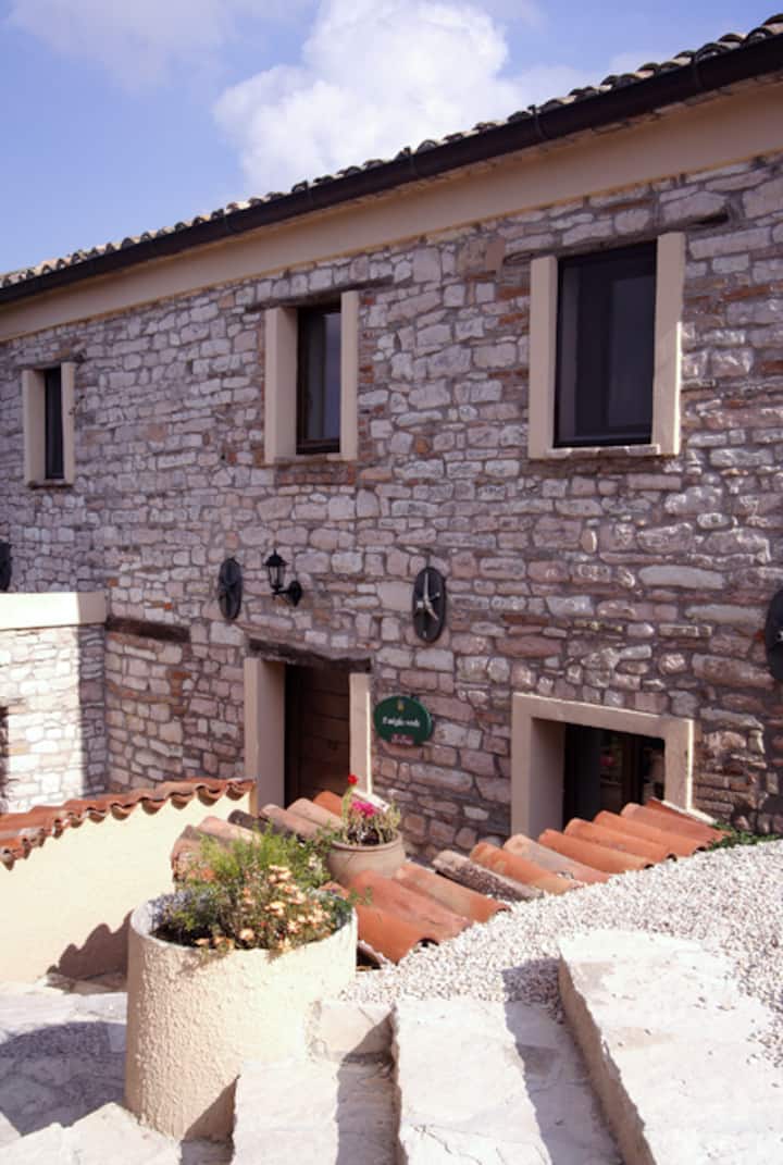 Appartamento Superior - Pergola