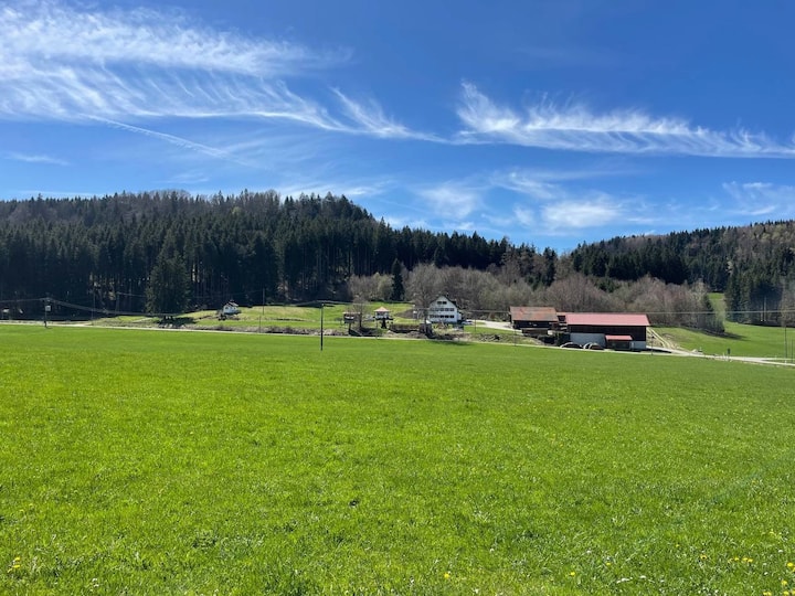 Idyllisches Ferienapartment Allgäu (Ehwiesmühle) - Ottobeuren