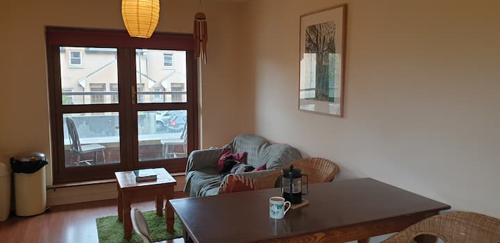 Spacious Double Bedroom In Comfy Sligo Home - Sligo