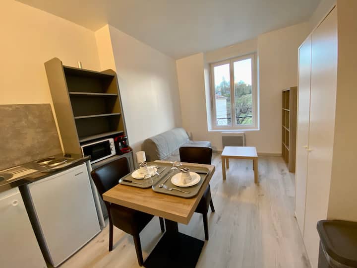 102 Studio Immeuble Persévérance - Puxe