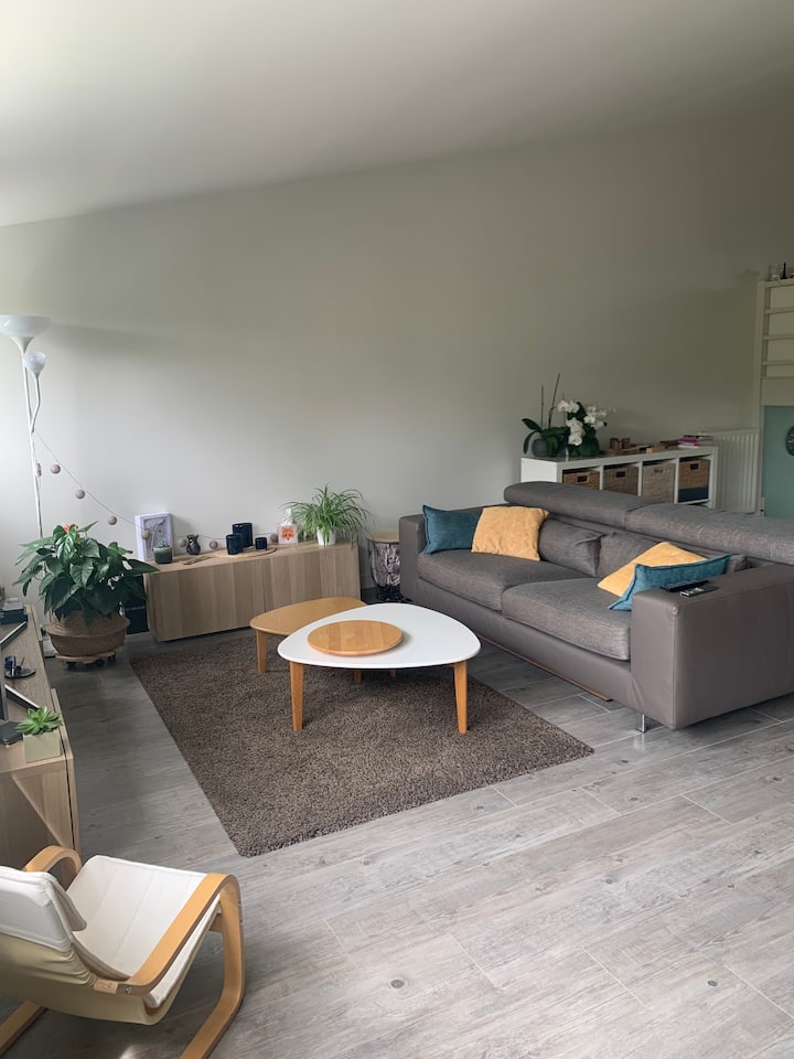 Chambre Cosy Dans Un Joli Appartement ! - Les Ulis
