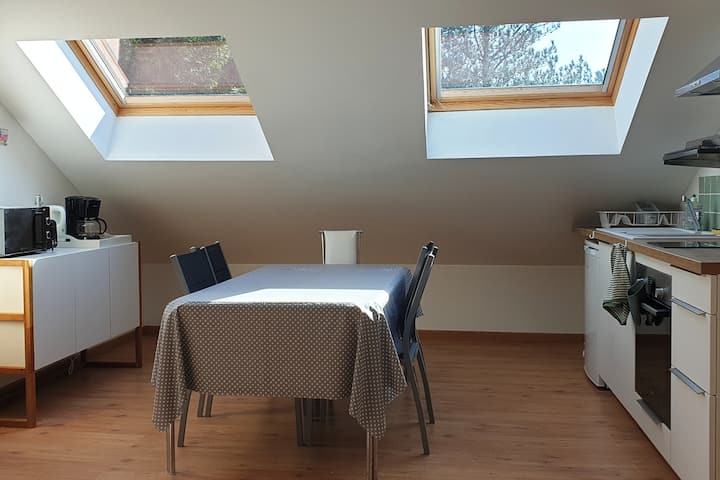 Confortable Appartement à Hardelot - Hardelot-Plage