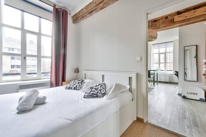 Appartement Lumineux Et Calme Parking Gratuit - Lille