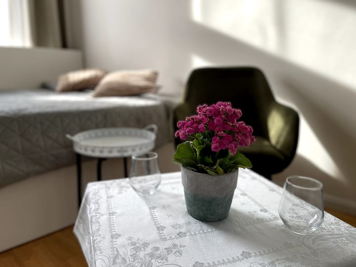 Amazing Studio In The City Center Of Prague - Praga