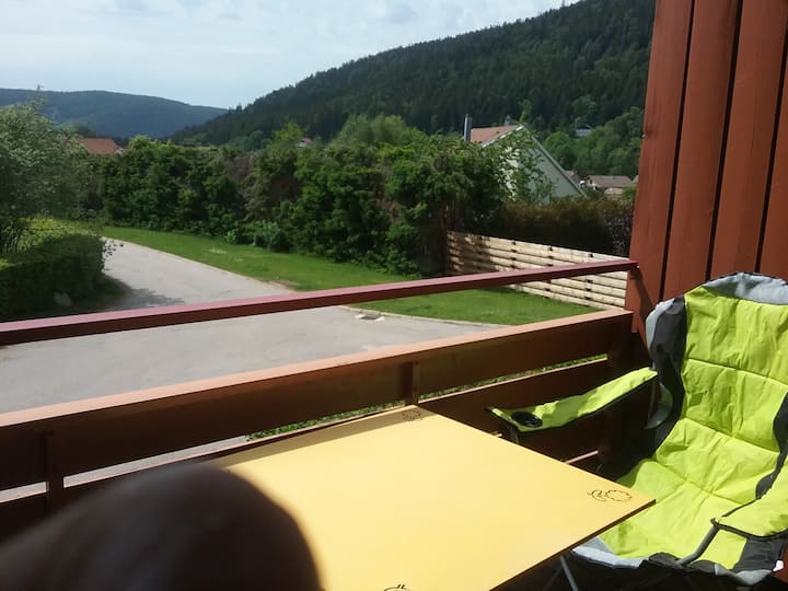 Studio Au Coeur Du Village , Au Calme. - Gérardmer