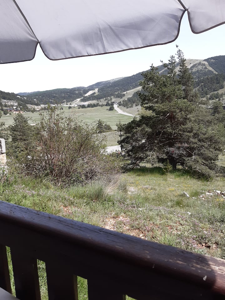 Charmant Studio Vue Montagnes - Gréolières les Neiges