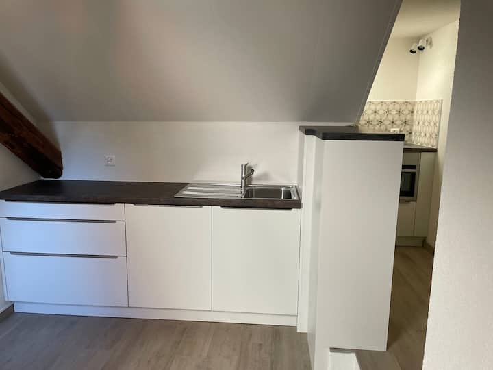 Studio à Louer à 2 Pas Du Lac - Vevey