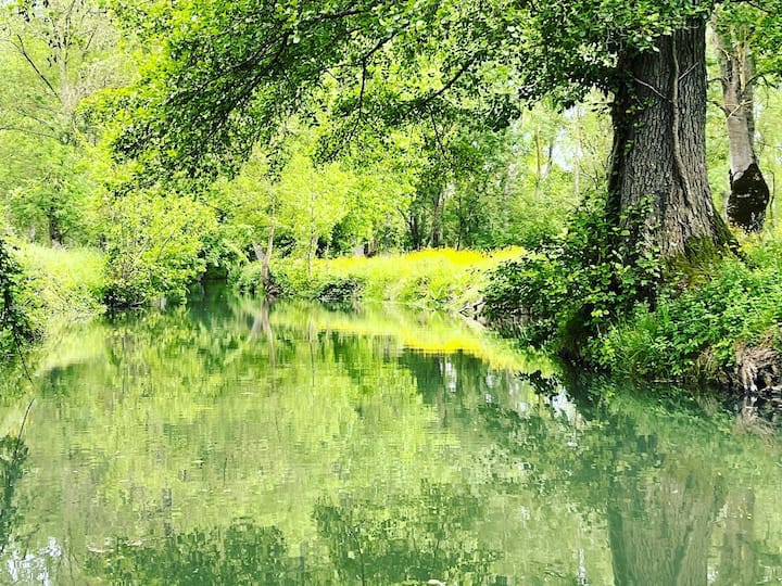 Charmant Logement à 15mn Du Marais Poitevin - Surgères