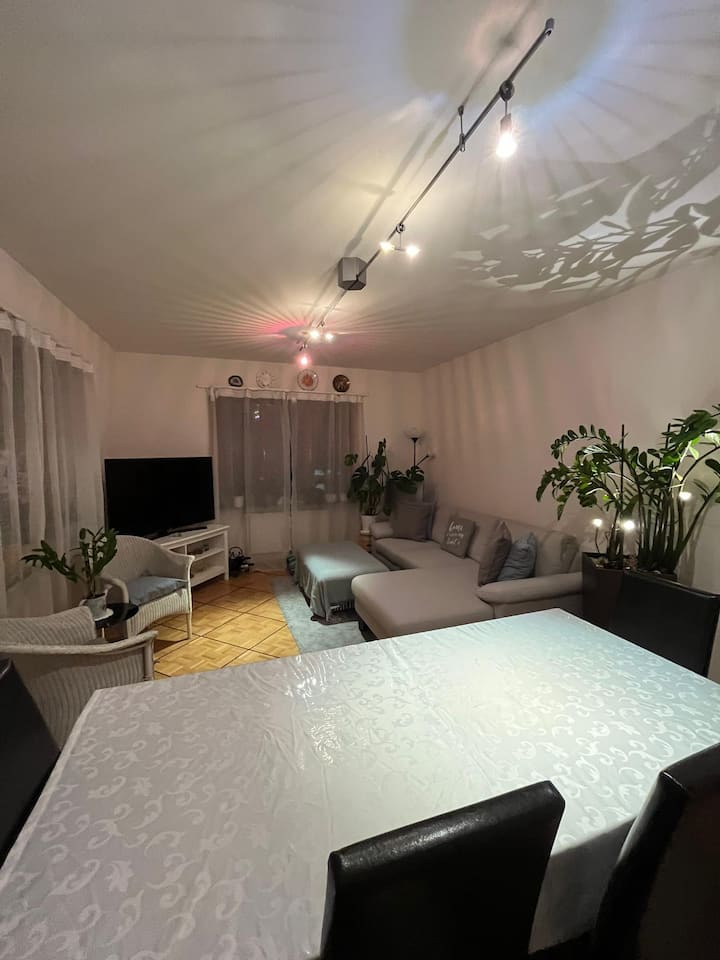Wohnung Mit Einem Schlafzimmer Bei Der Messe - Basilea