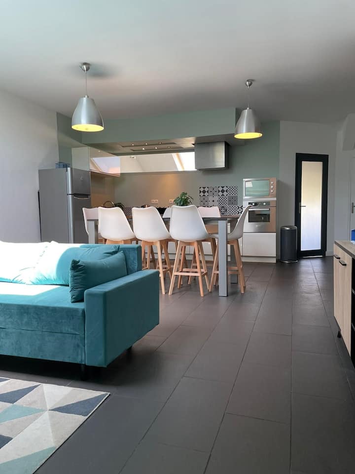 Spacieux T3  Plein Centre D’orleans - Saran