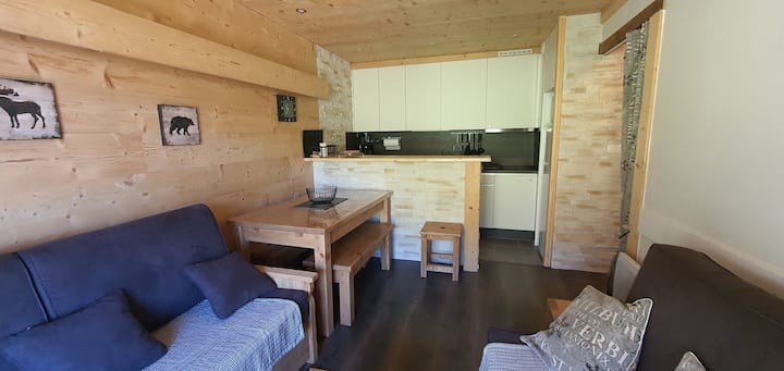 Valmeinier Pied Des Pistes
Duplex Cosy 50 M2 - Valmeinier